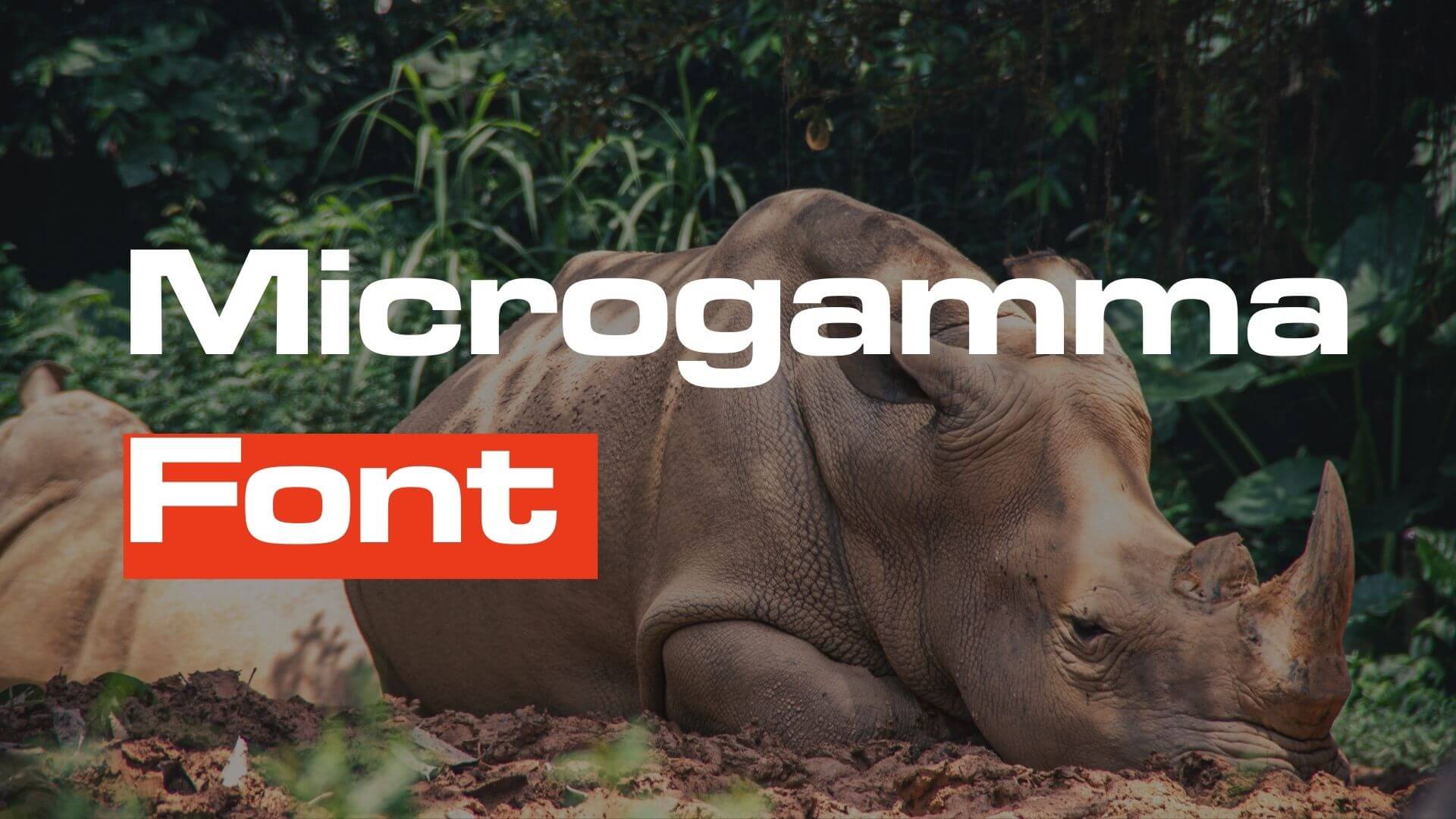 Microgramma Font Free Download